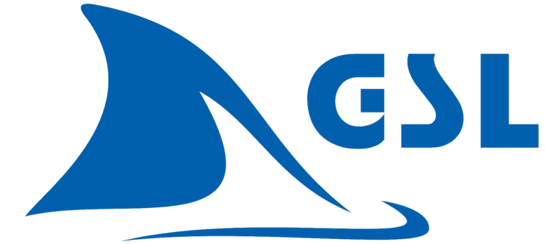 About GSL - Global Star Logistics